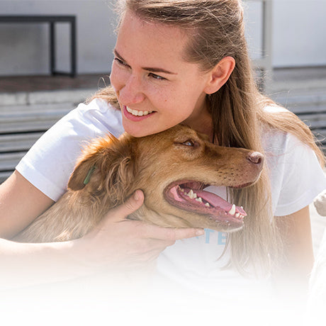 Toltrazuril Dogs - Toltrazuril.com