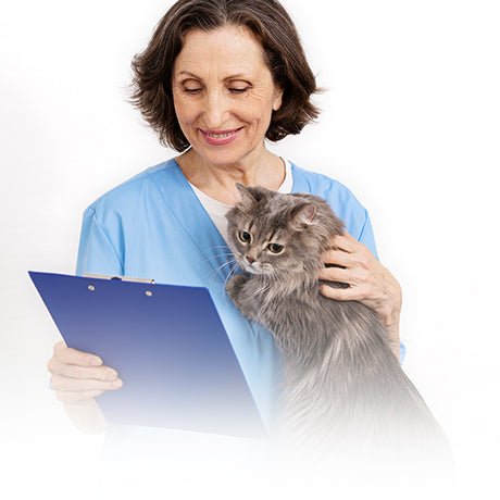 Toltrazuril Cats - Toltrazuril.com